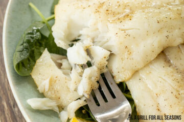 Easy Smoked Cod Recipe | How to Smoke a Fish Fillet