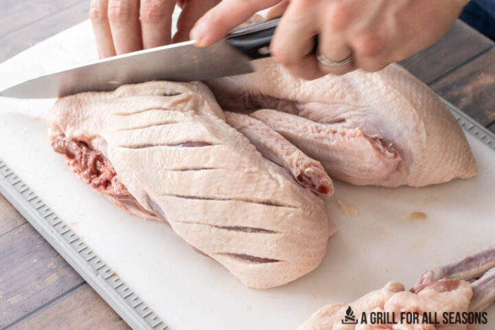 Traeger Duck - Easy Grilled Whole Duck | A Grill for All Seasons