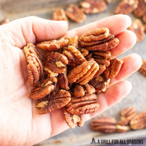Smoked Pecans Recipe & Tips | A Grill for All Seasons