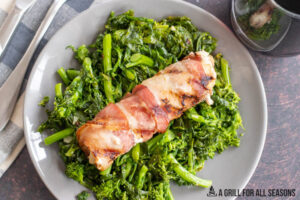 Grilled Alligator Recipe with Bacon | A Grill for All Seasons